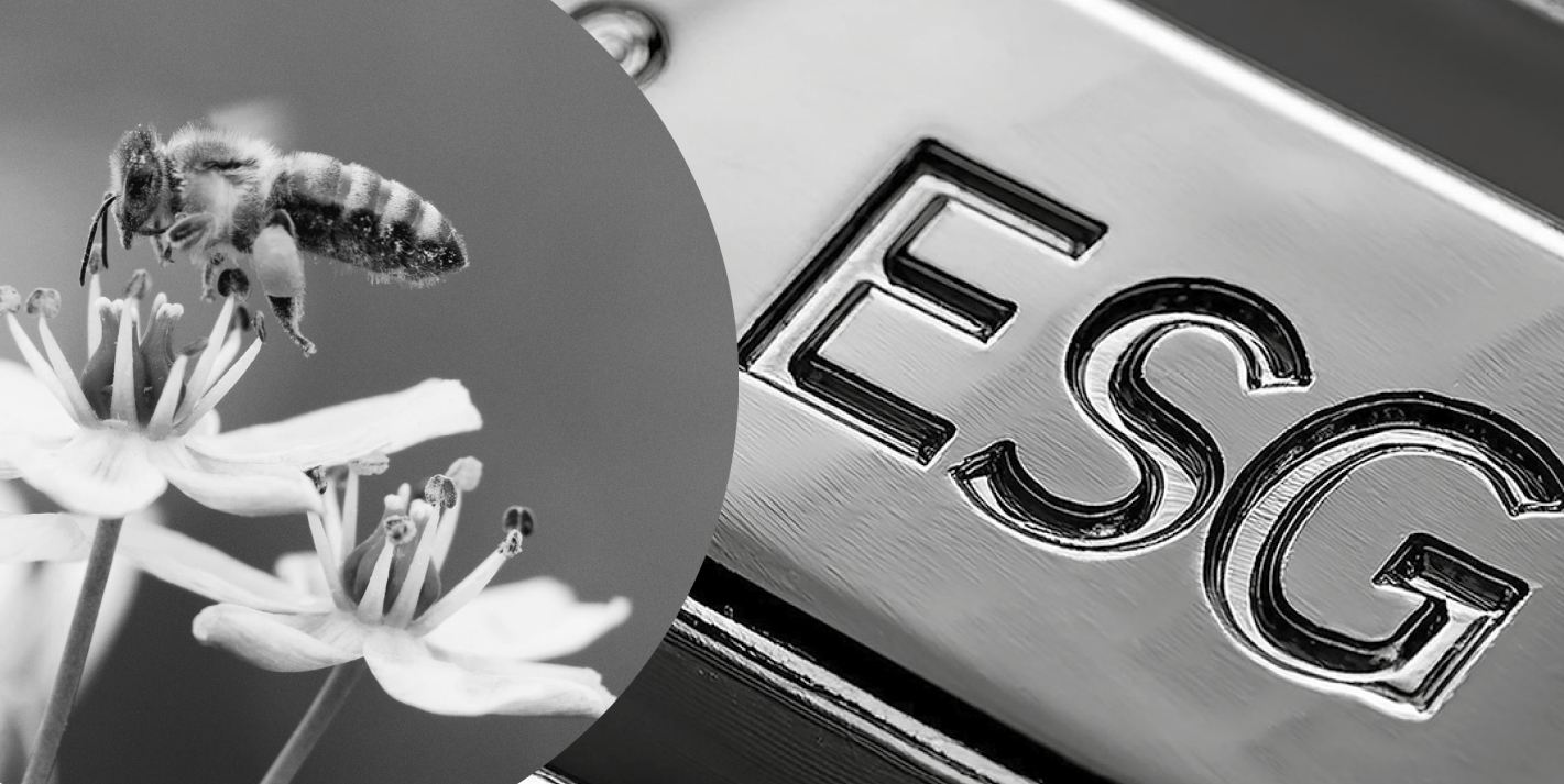 ESG: Obligation or Opportunity? | BCS Itera